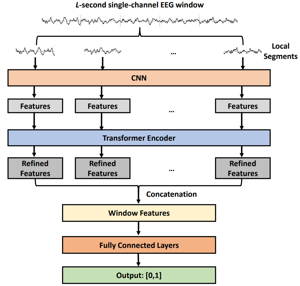 Transformer Convolutional Neural Networks for Automated Artifact ... Transformer Convolutional Neural Networks for Automated Artifact ...